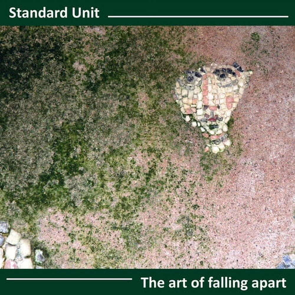 Standard Unit - The Art Of Falling Apart - Music & Performance - CD ...