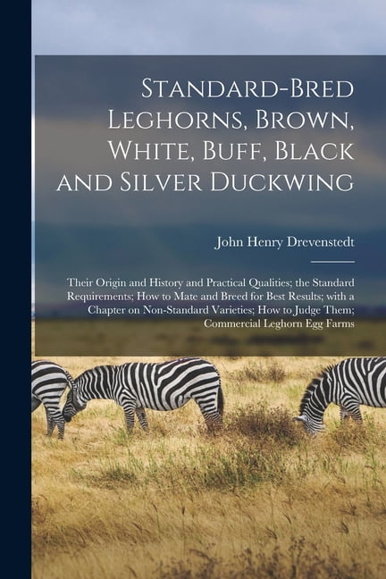 Standard-bred Leghorns, Brown, White, Buff, Black and Silver Duckwing ...