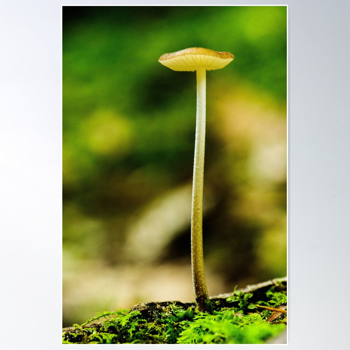 Standing Alone Poster Wall Art, Modern Wall Decor For Living Room ...