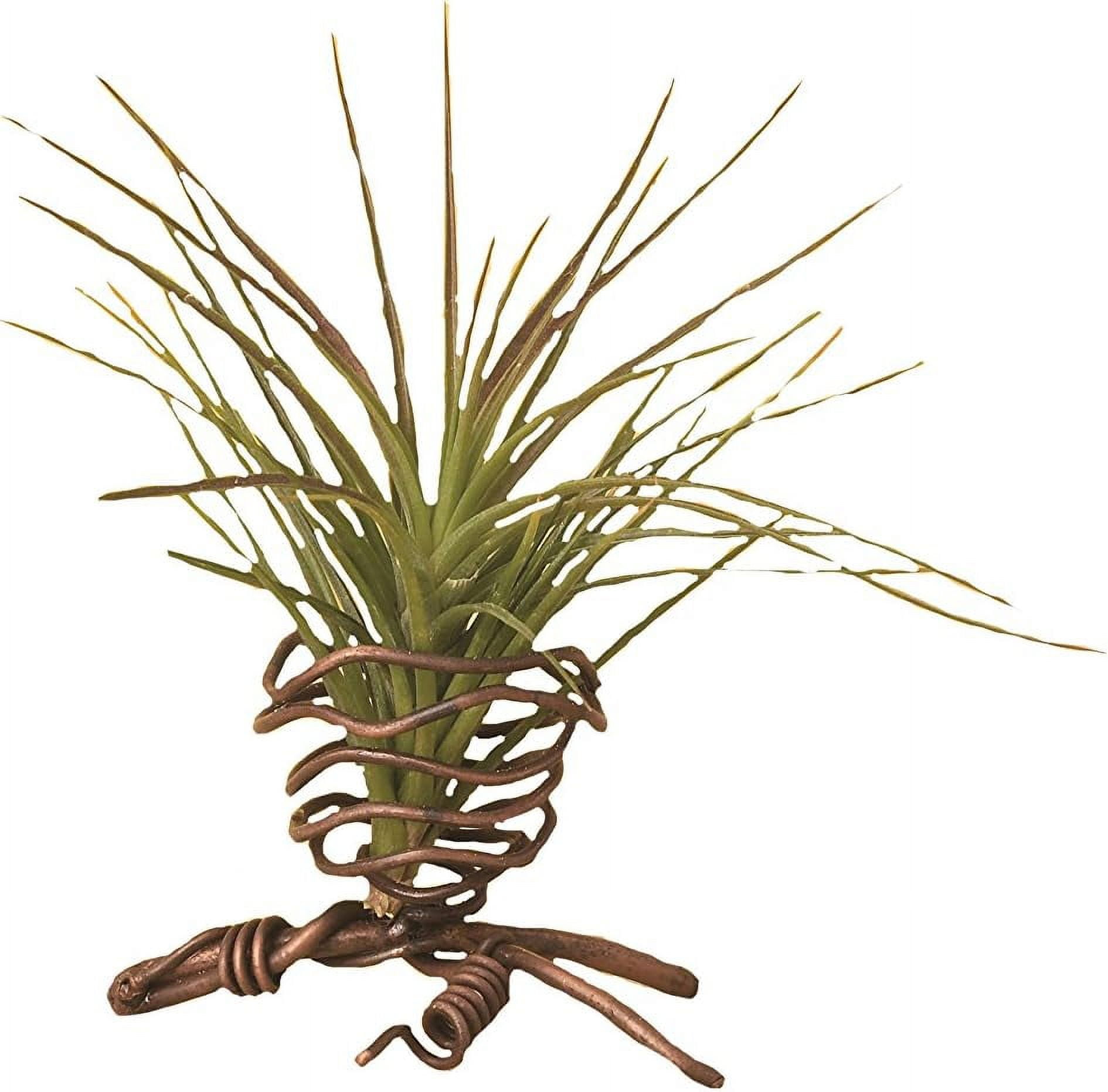 Standing Single Air Planter, 4"X2.5"X2.5", 4 by 2.5 by 2.5", Multicolor ...