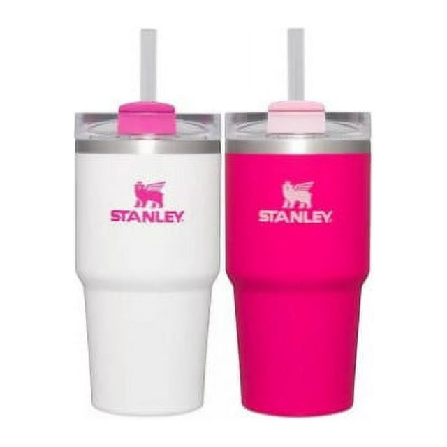 Stanley 2pk 20oz Stainless Steel Tumblers, Pink Vibes/Frost, Leak ...