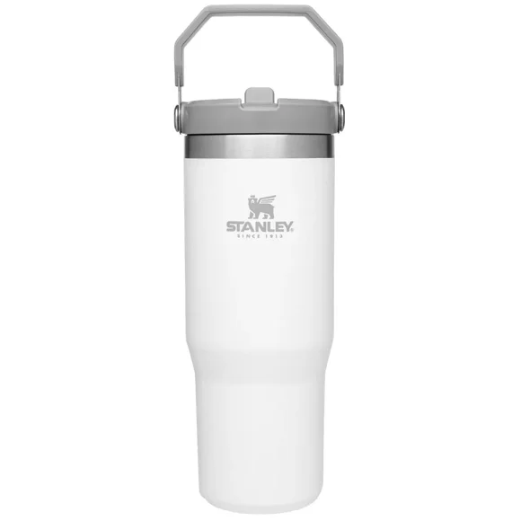 Stanley Mugs in Stanley Cups - Walmart.com