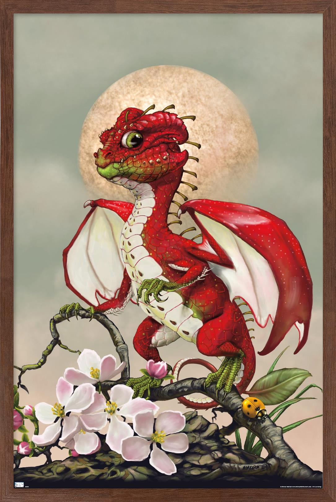 Stanley Morrison - Apple Dragon Wall Poster, 14.725" x 22.375", Framed ...