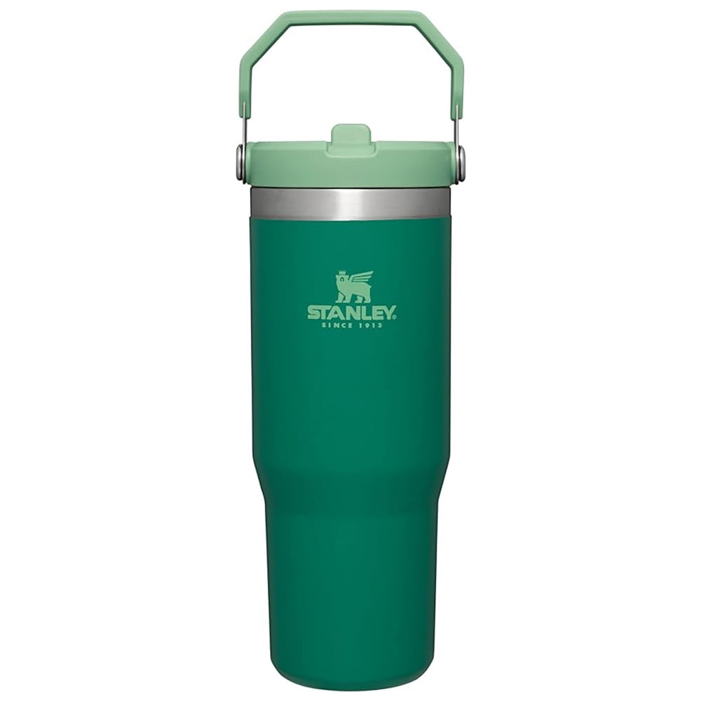 Stanley Iceflow Flip Straw Tumbler, 30Oz, Unisex, Green, One Size ...