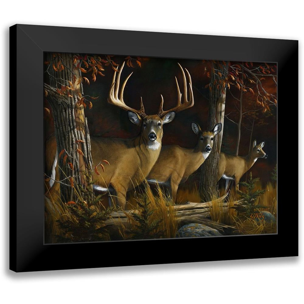 Stans, Leo 18x15 Black Modern Framed Museum Art Print Titled - The ...