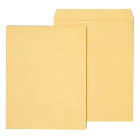 Mead Heavyweight Large Clasp Envelopes, 9x12 inch, 20 Count - Walmart.com