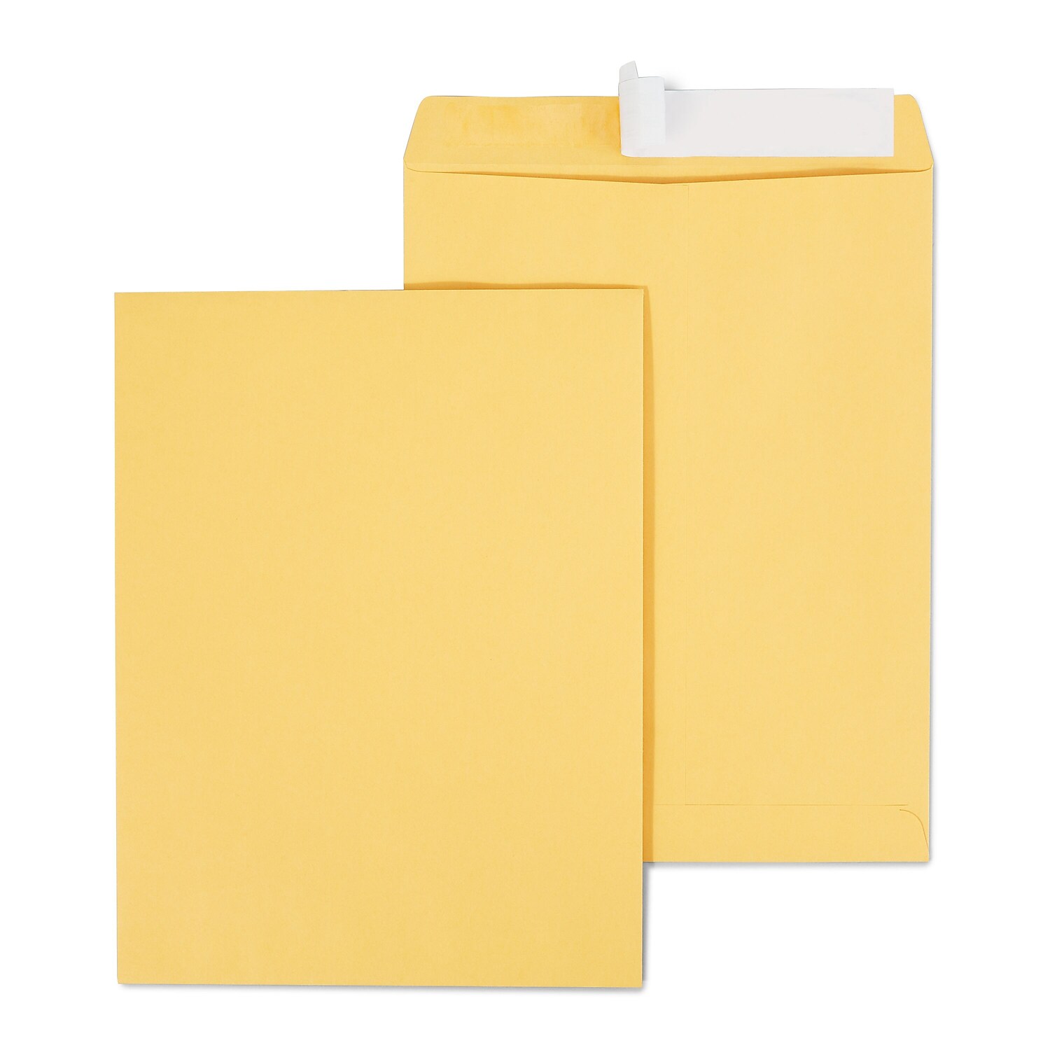 Staples EasyClose Catalog Envelopes 10"L x 13"H White 100/BX 379476NCC ...