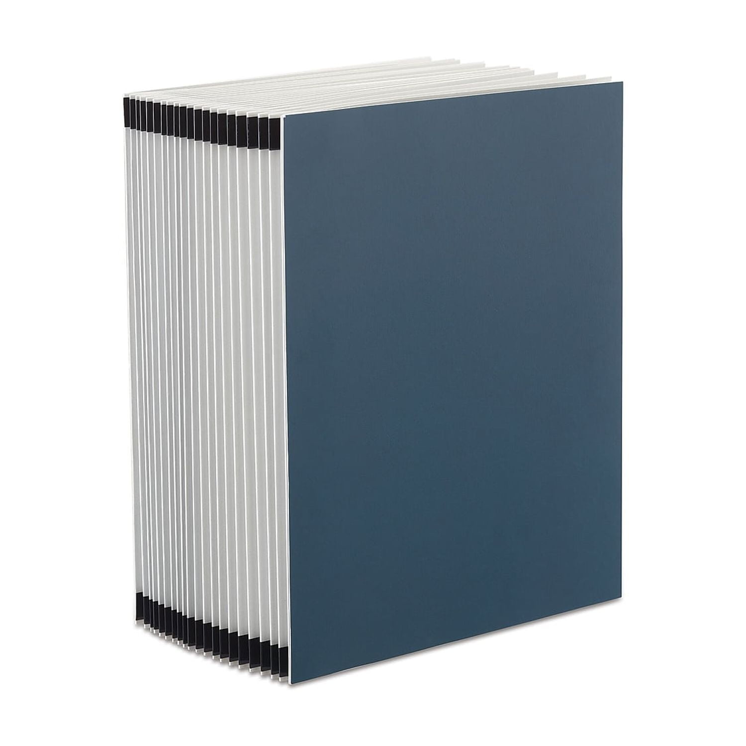 Staples EveryDay Poly General File Sorter Blue (3EDFS) TR119982/119982 ...