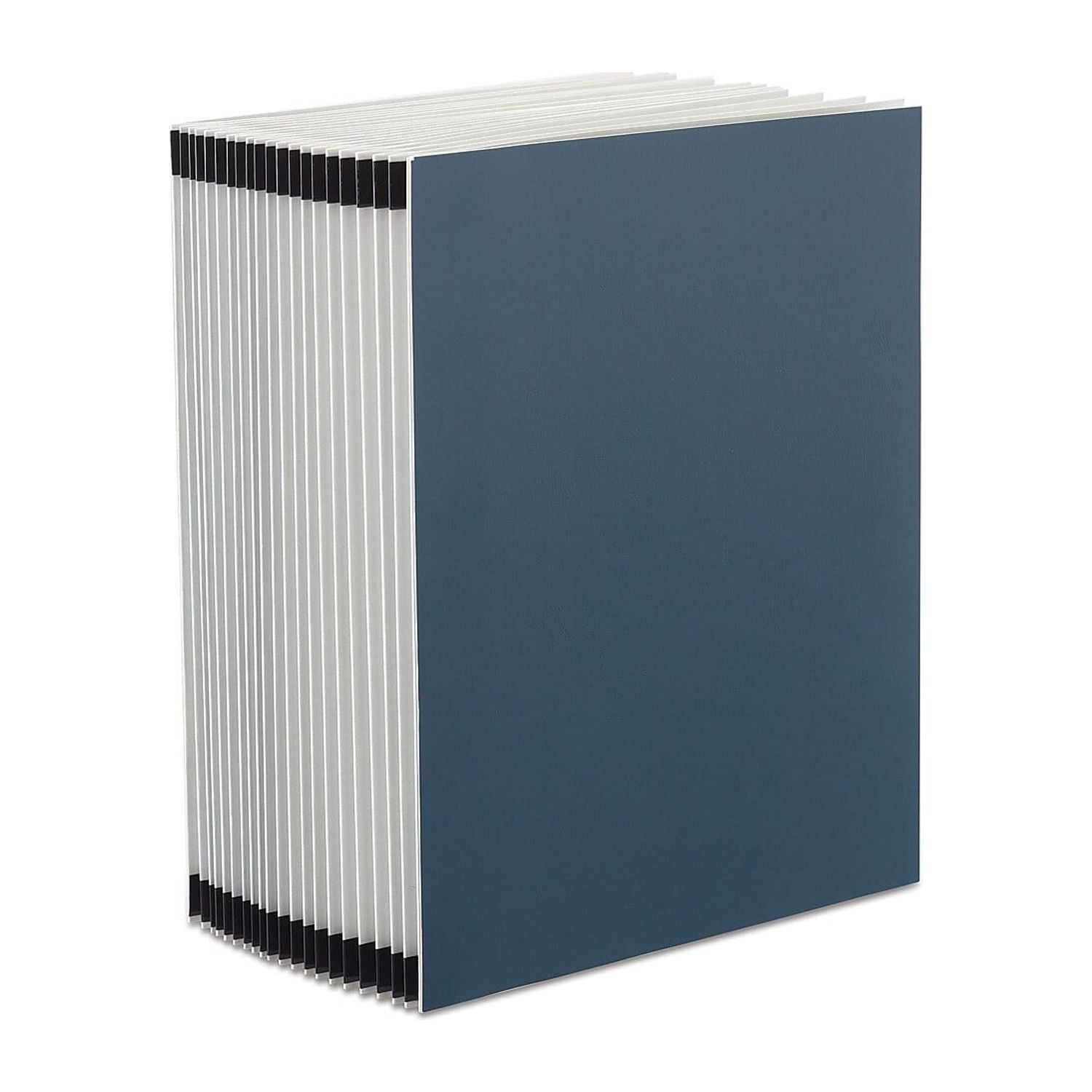 Staples EveryDay Poly General File Sorter Blue (3EDFS) TR119982/119982 ...