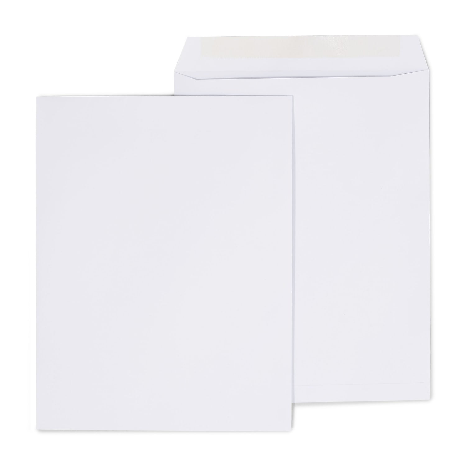 "Staples Large Secure Catalog Envelopes, Extra Size 10""L x 13""H ...