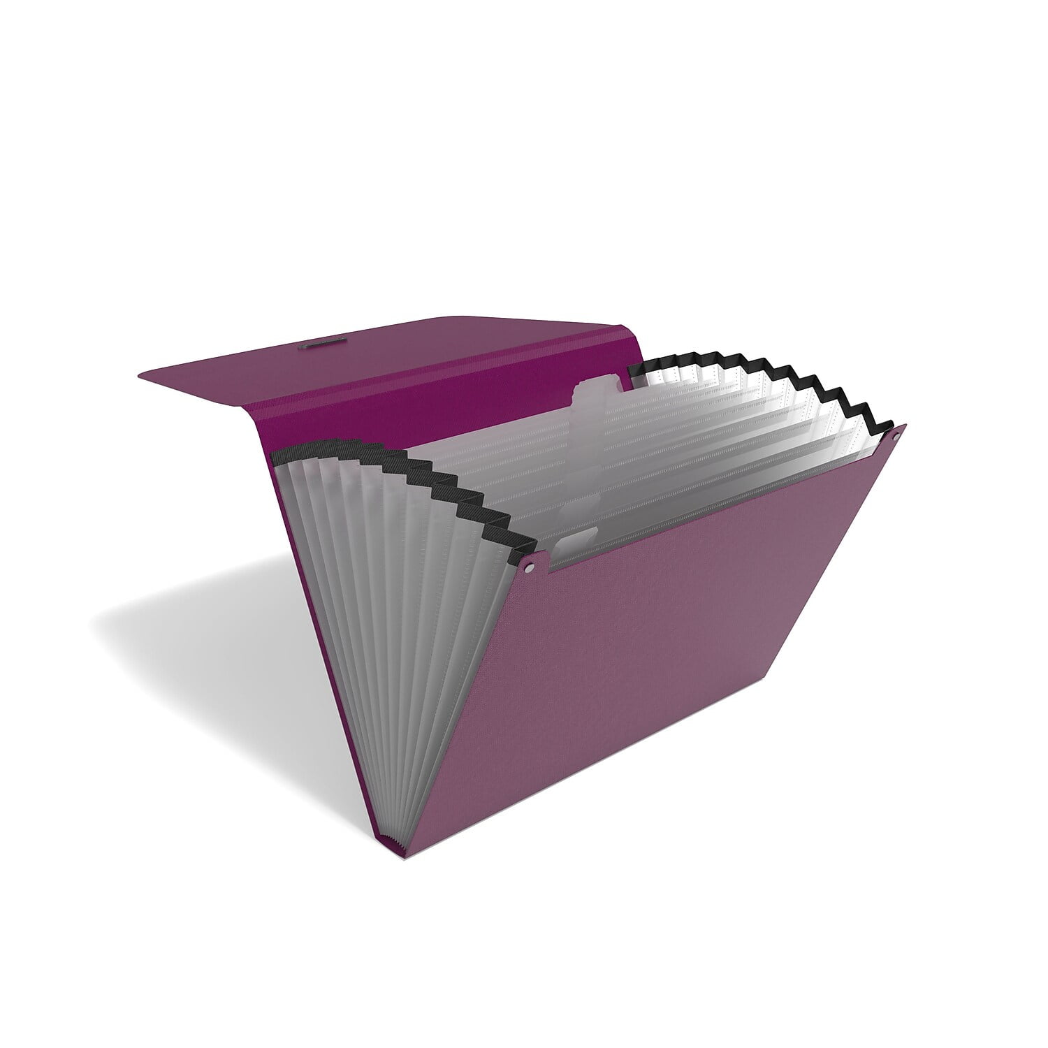 Staples Plastic 13 Pocket Reinforced Expanding Folder Letter Size ...