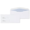 Envelopes.com #10 Double Window Envelope (4-1/8" x 9-1/2"), 24 lb with ...
