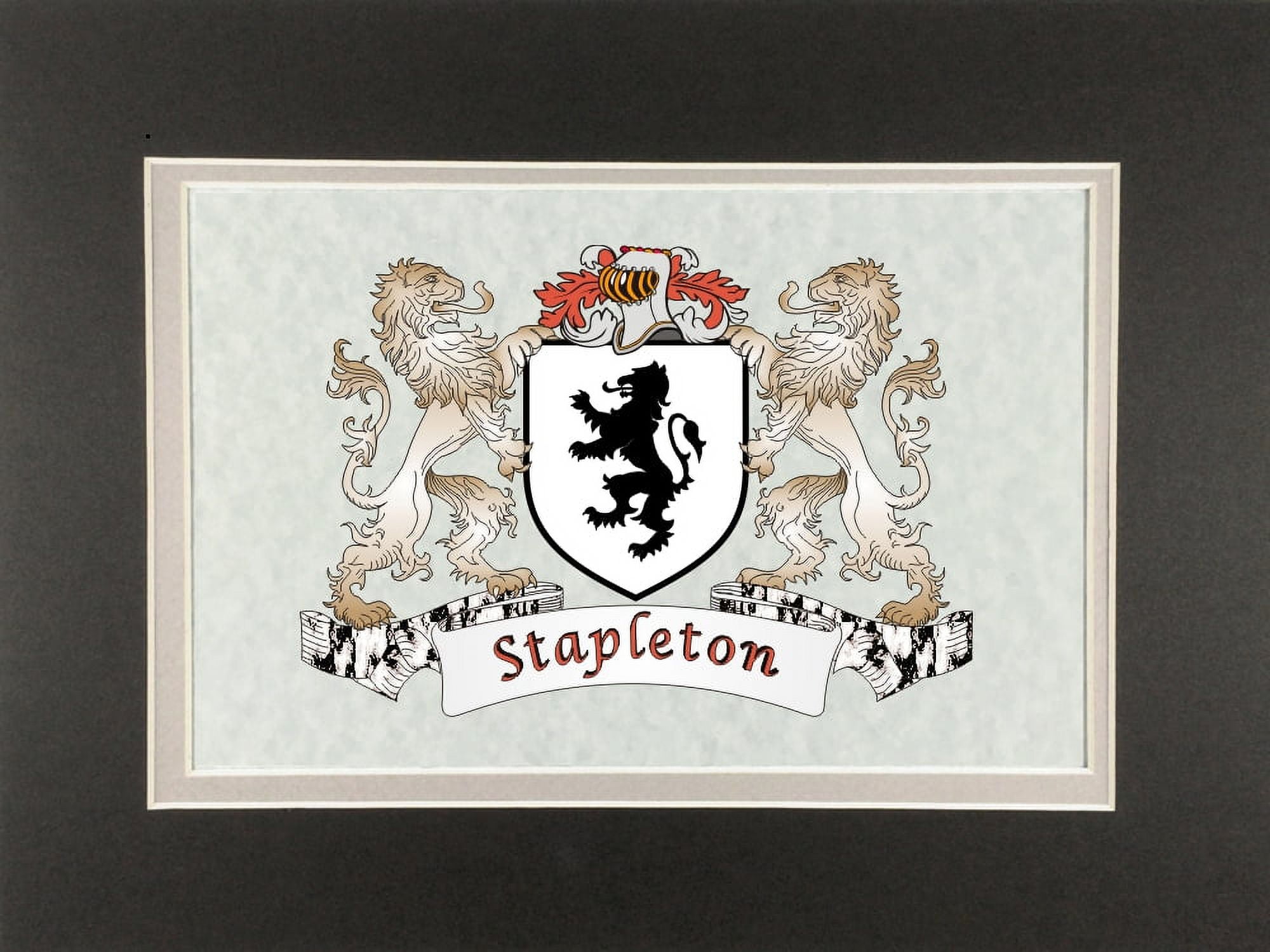 Stapleton Irish Coat of Arms Print - Frameable 9" x 12" - Walmart.com