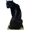 Panther Cardboard Cutout Cardboard Cutout - Walmart.com