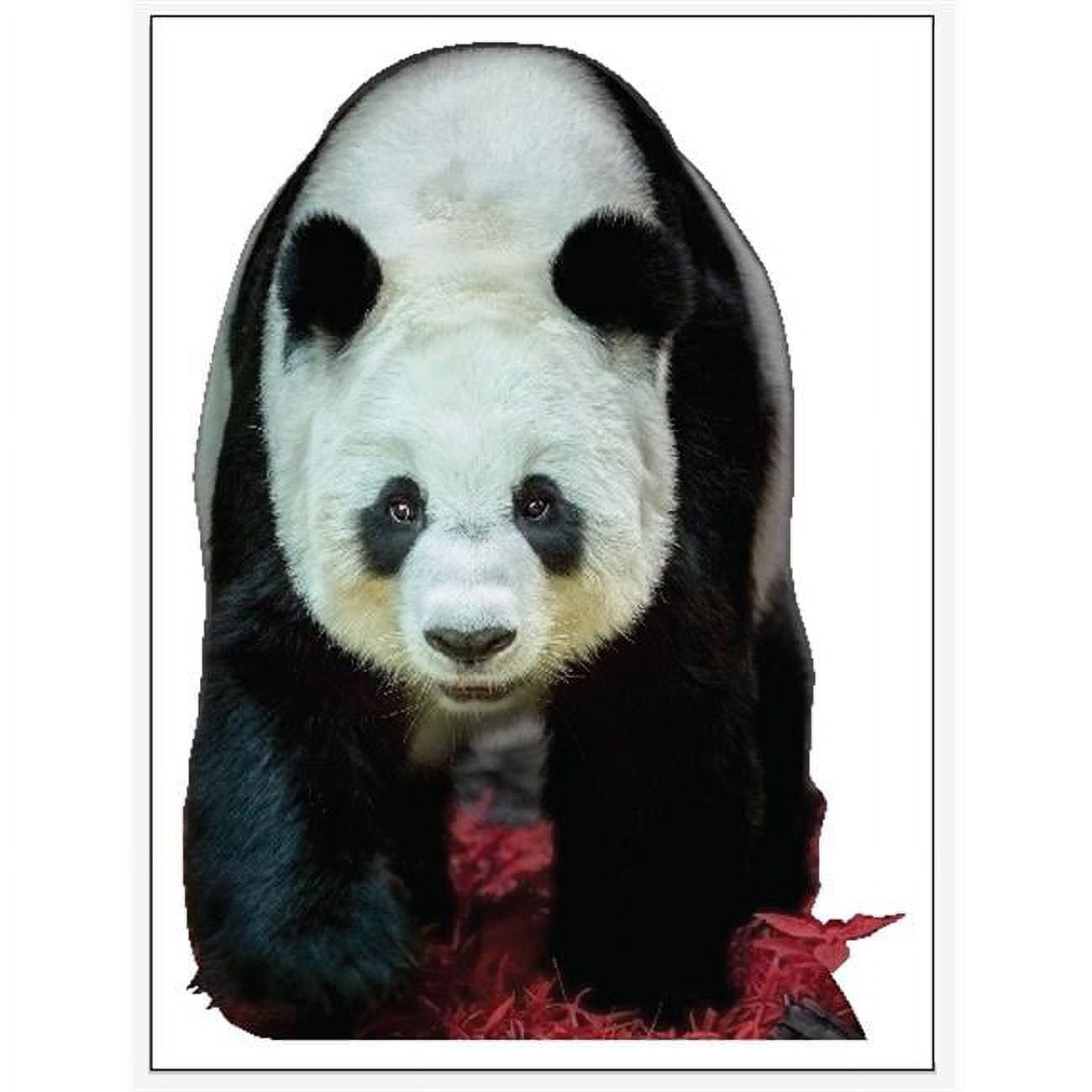 Star Cutouts SC2149 Panda Bear Cardboard Cutout - Walmart.com