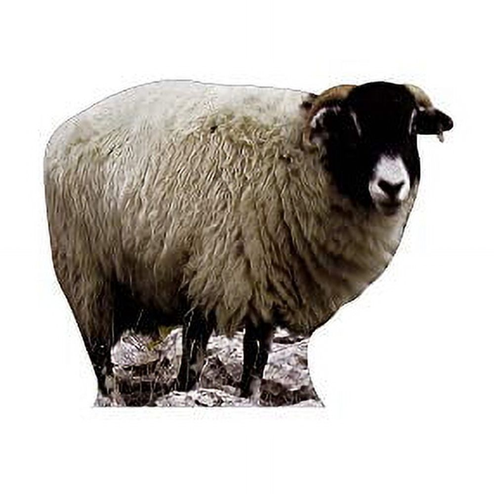 Star Cutouts, Sheep, Cardboard Cutout Stand-Up, Animal Party Prop Stand ...
