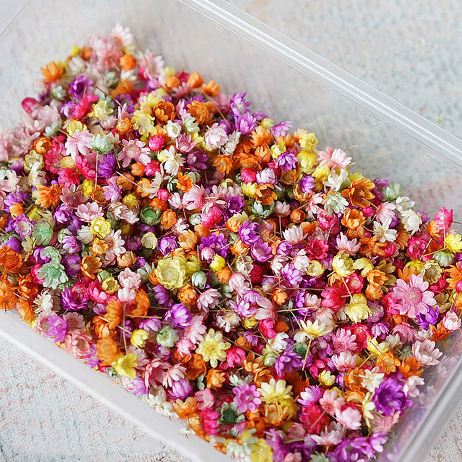 Star Er Head - 2g/5g Bag with 280/710 Er Heads, Assorted Colors ...
