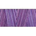 Star Mercerized Cotton Thread Variegated 1,200yd - Violet Eve - Walmart.com