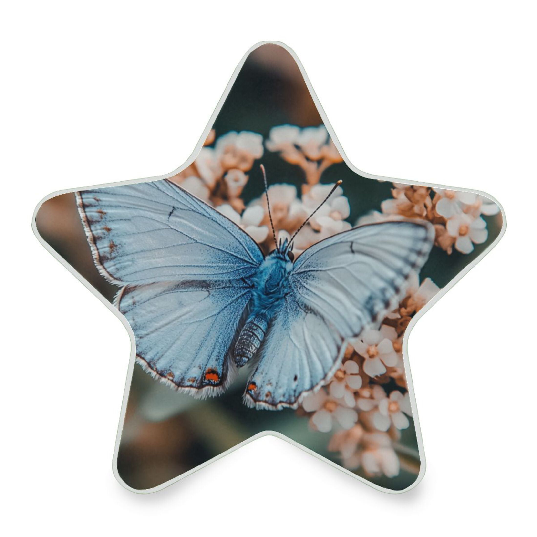 Star Shape LED Night Light Bedrooms Lighting Sensor Light Bedside Wall ...