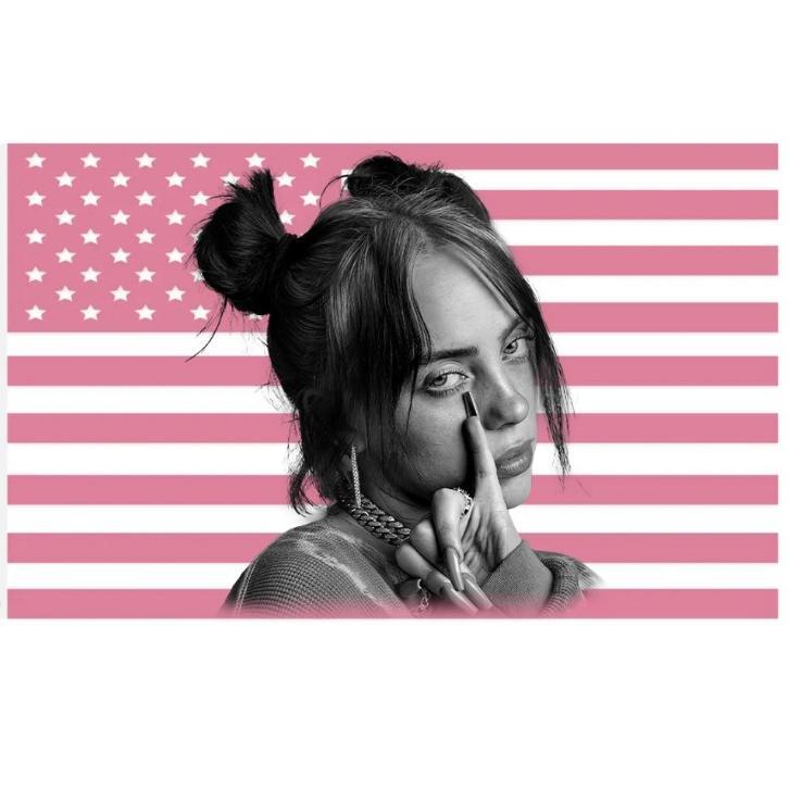 Star Singer Pop Pink USA Flag- American Flag Meme Trendy Room Tapestry ...