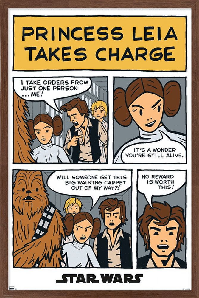 Star Wars: A New Hope - Comic Panel Wall Poster, 14.725" x 22.375 ...