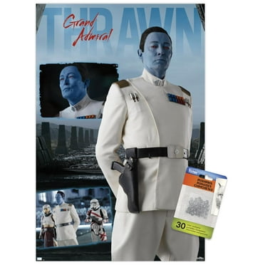 Star Wars: Saga - Princess Leia - Signature Wall Poster with Push Pins ...