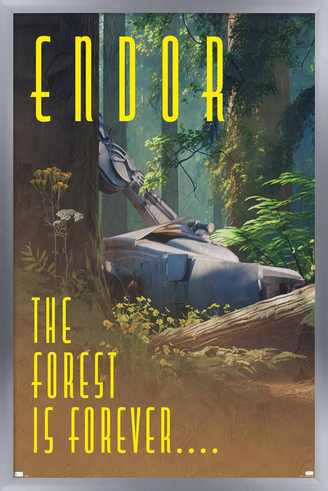 Star Wars: Endor - Visit Endor by Russell Walks 23 Wall Poster, 22.375 ...