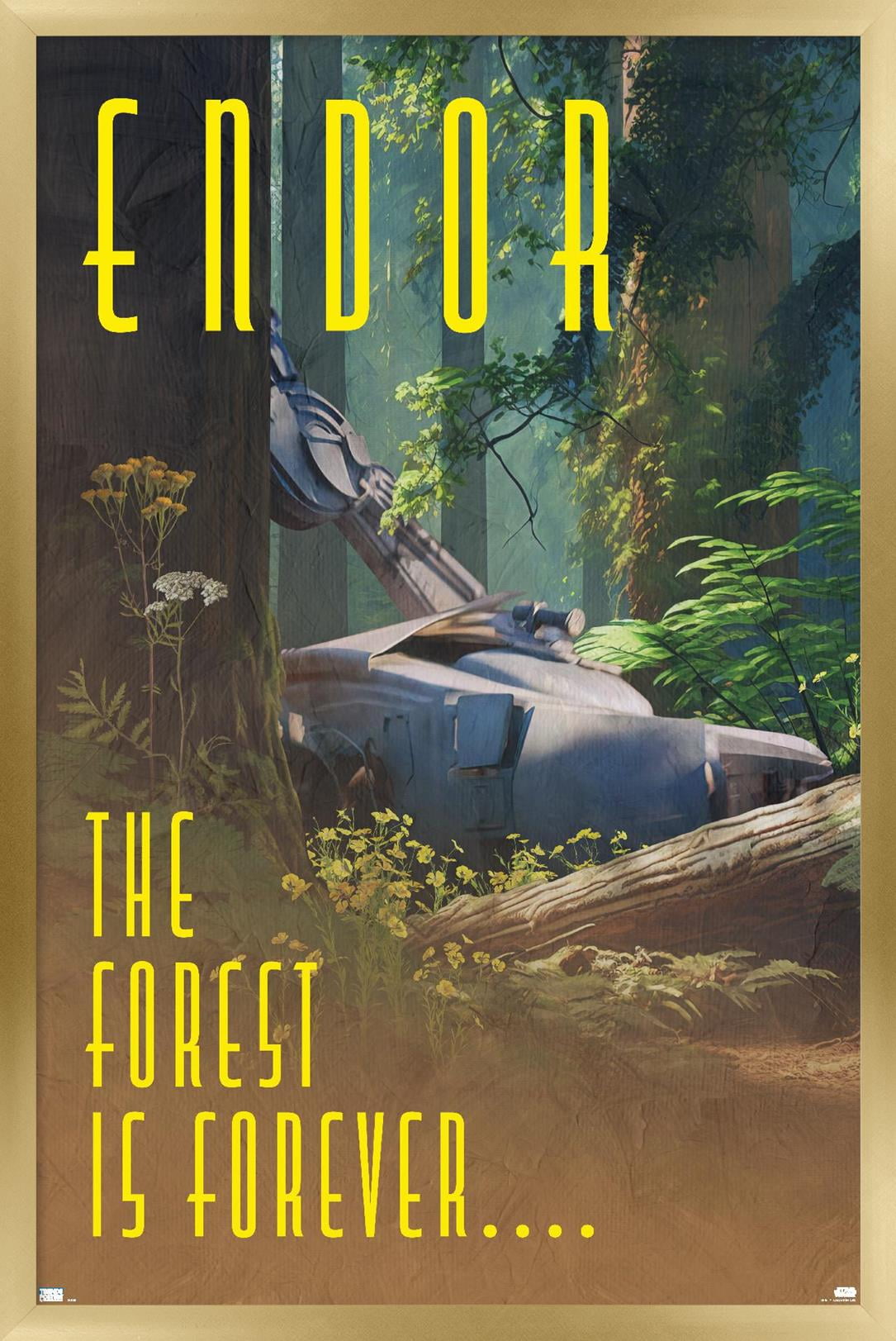Star Wars: Endor - Visit Endor by Russell Walks 23 Wall Poster, 22.375 ...