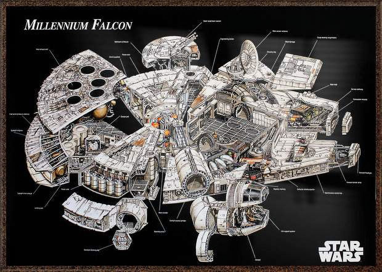 Star Wars - Framed Movie Poster (The Millennium Falcon - Cutaway ...