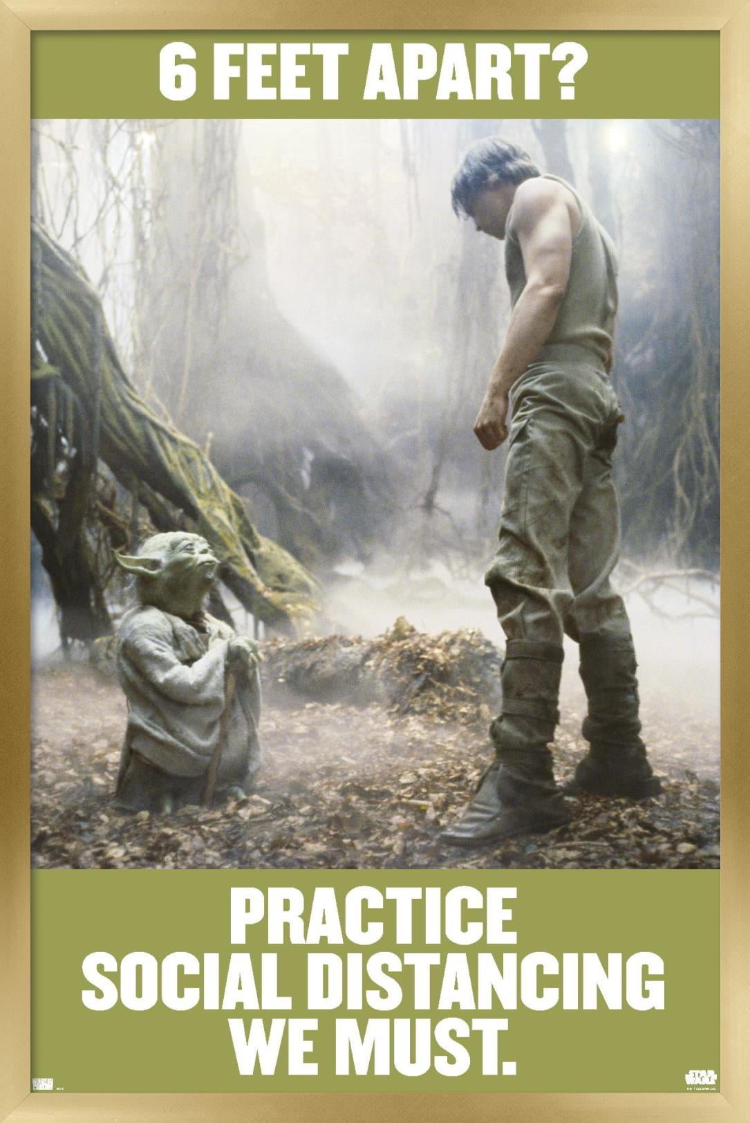 Star Wars: Saga - Luke and Yoda Social Distancing Wall Poster, 14.725 ...