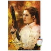 Star Wars: Saga - Princess Leia - Signature Wall Poster with Push Pins ...