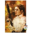 Star Wars: Saga - Princess Leia - Signature Wall Poster with Push Pins ...