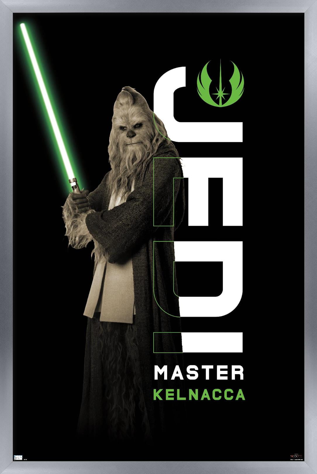 Star Wars: The Acolyte - Master Kelnacca Wall Poster, 22.375" x 34 ...