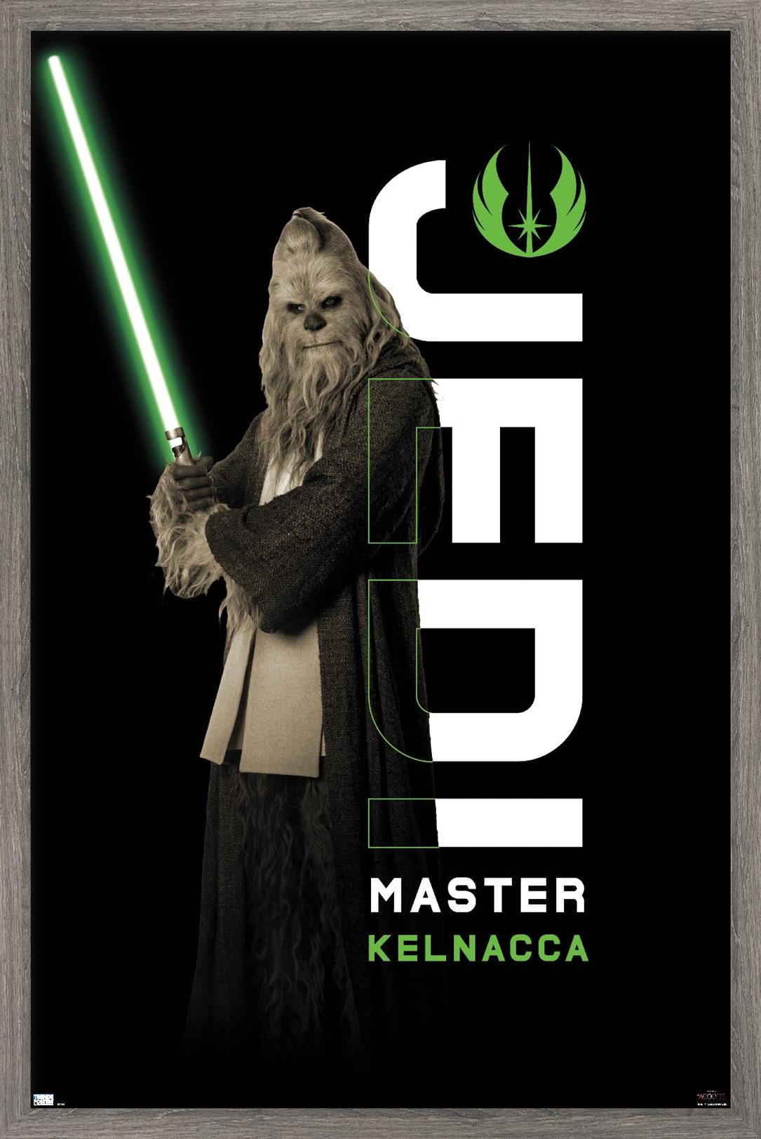 Star Wars: The Acolyte - Master Kelnacca Wall Poster, 22.375" x 34 ...