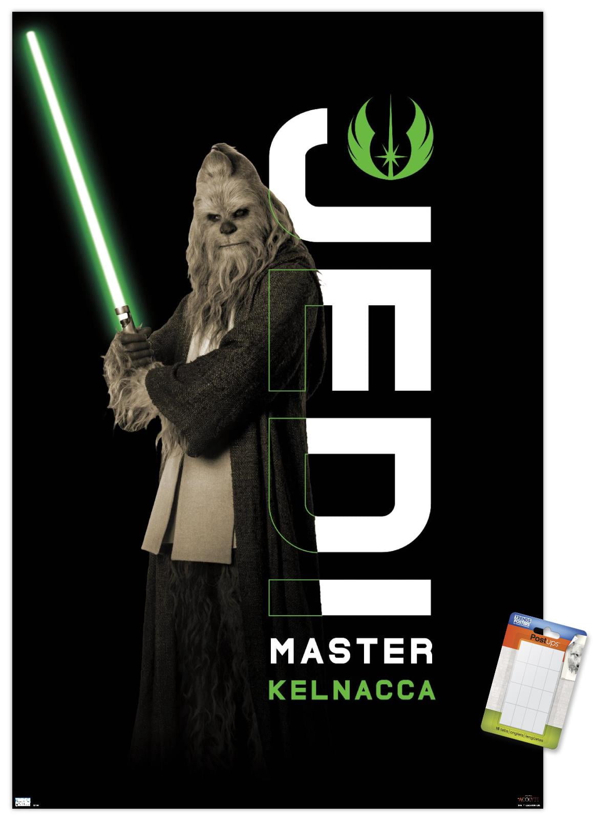 Star Wars: The Acolyte - Master Kelnacca Wall Poster, 22.375" x 34 ...