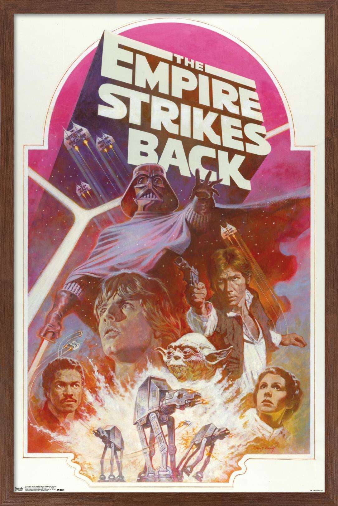 Star Wars: The Empire Strikes Back 40th - Group Wall Poster, 22.375" x 34", Framed - Walmart.com