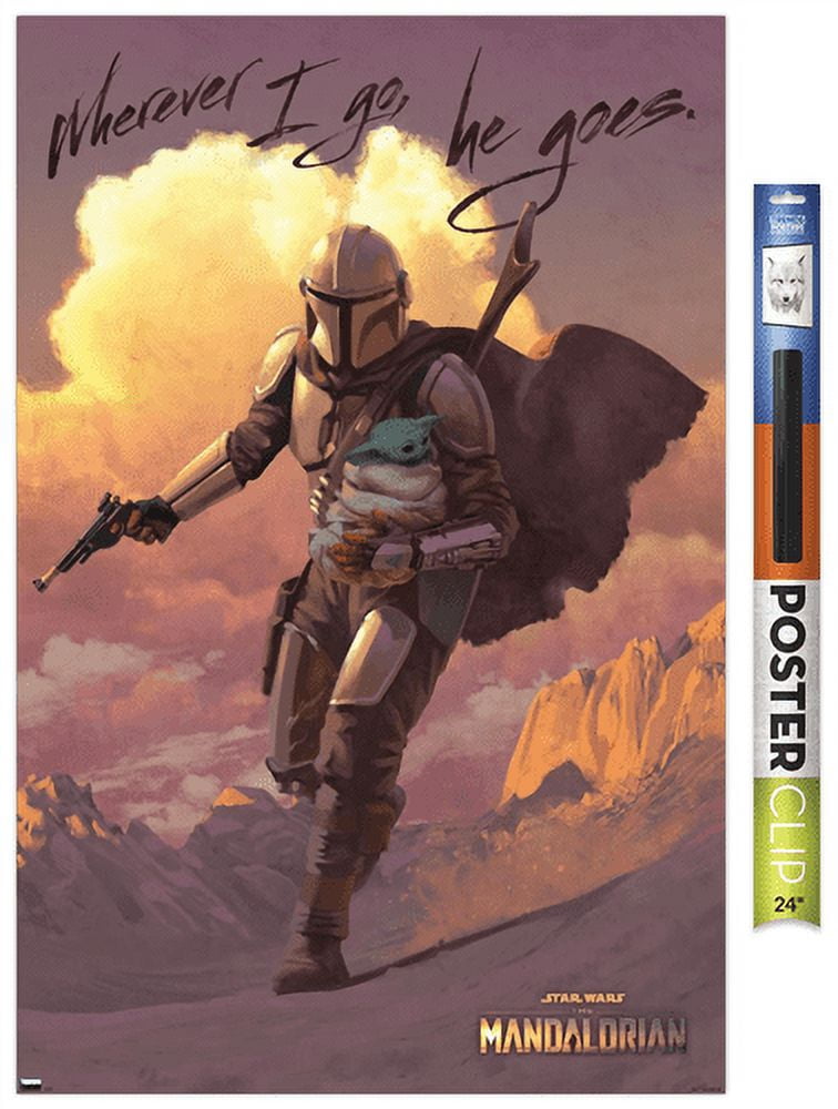 Star Wars: The Mandalorian - Protect Wall Poster, 22.375" x 34 ...