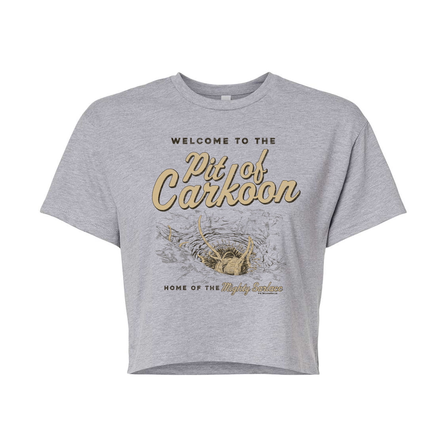 Star Wars - Welcome to The Great Pit of Carkoon - Juniors Cropped Tee ...