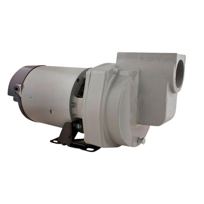 Star Water Systems 1 HP 115 V Cast Iron Sprinkler Pump - Walmart.com
