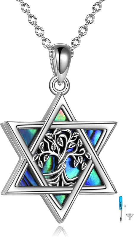 Star of David Necklace Sterling Sliver Abalone Shell Tree of Life ...