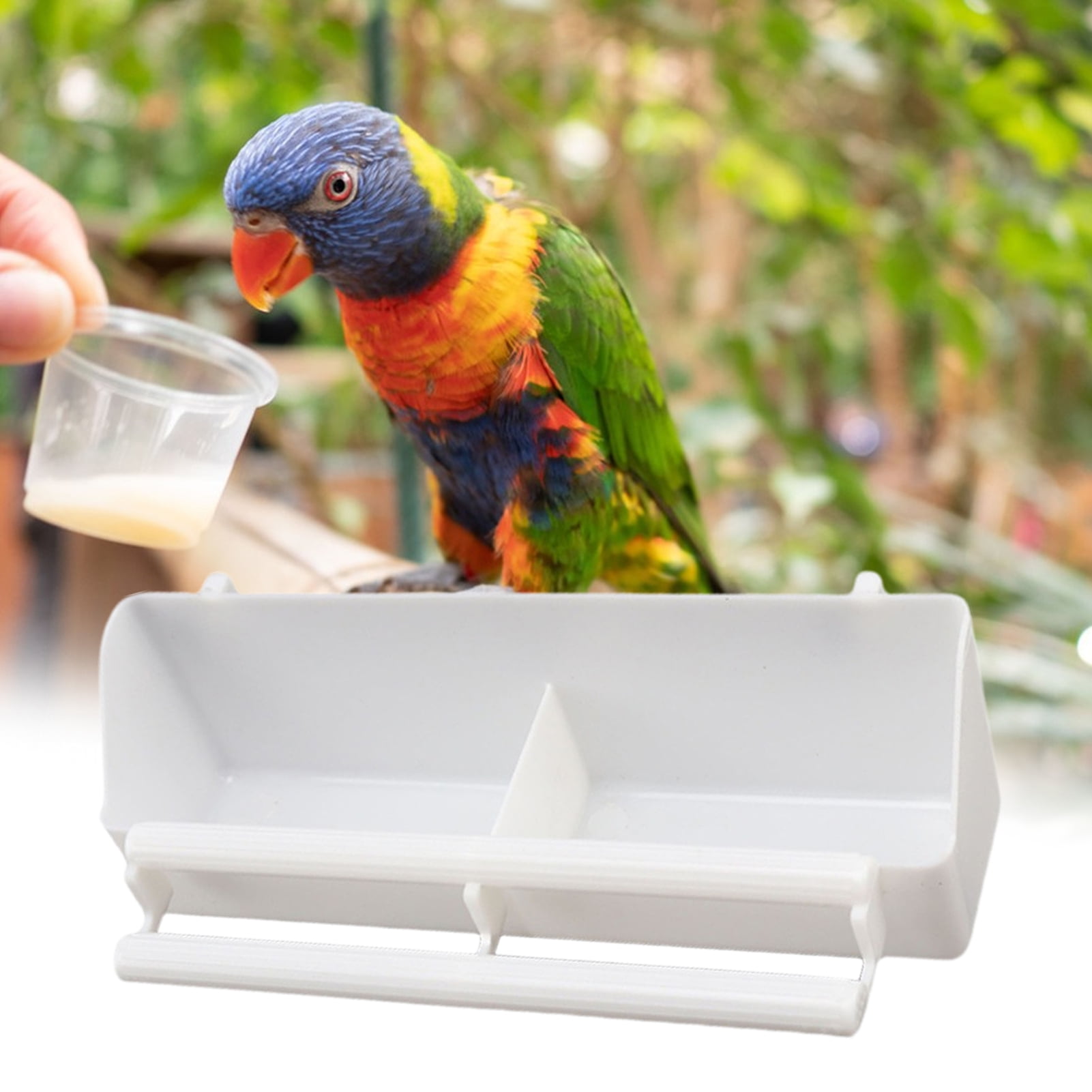StarBay Bird Cage Parrot Feeder with Perch 2 Compartments Leak-proof ...