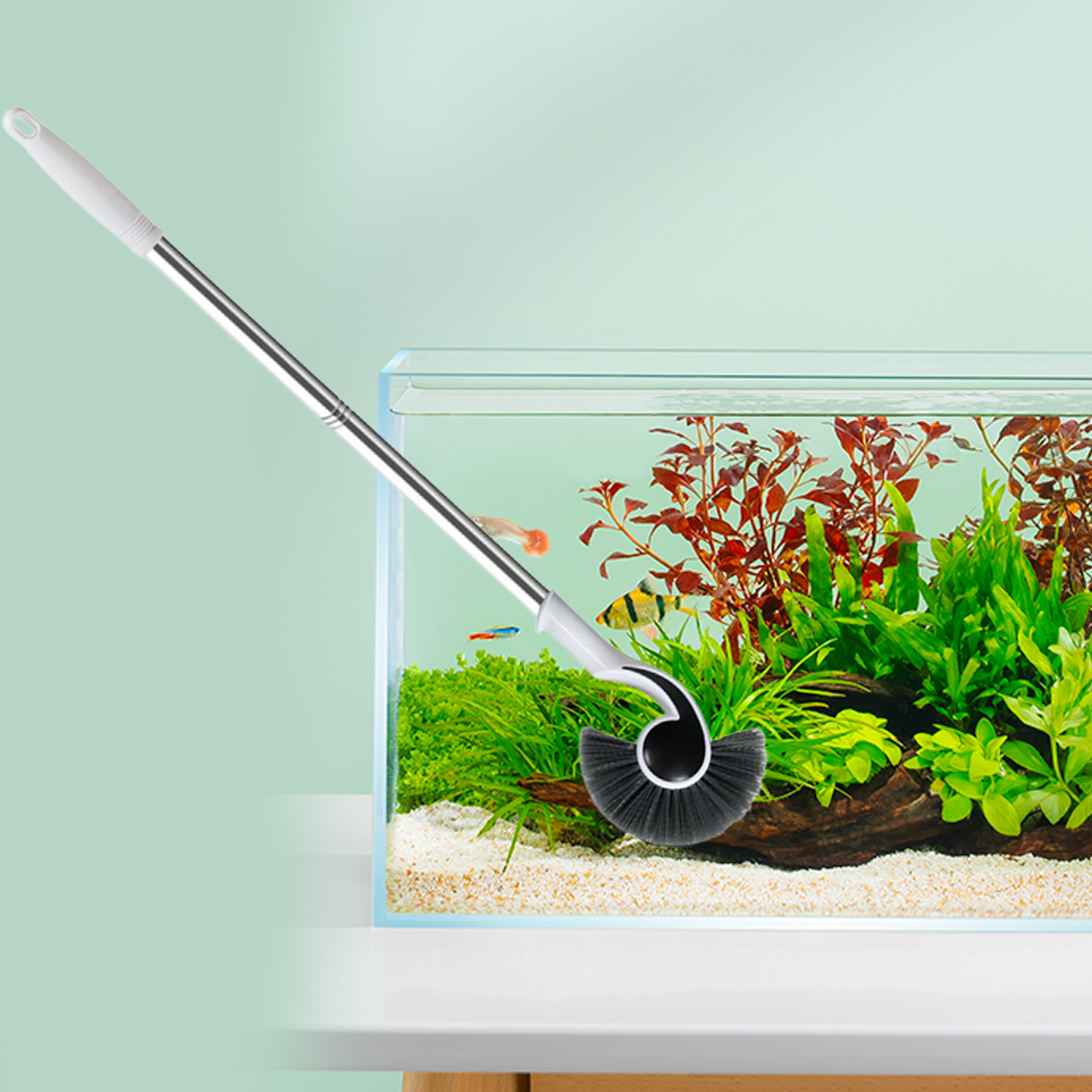 StarBay Fish Cleaning Tool Fish Conch Brush Half Round Brush Head ...