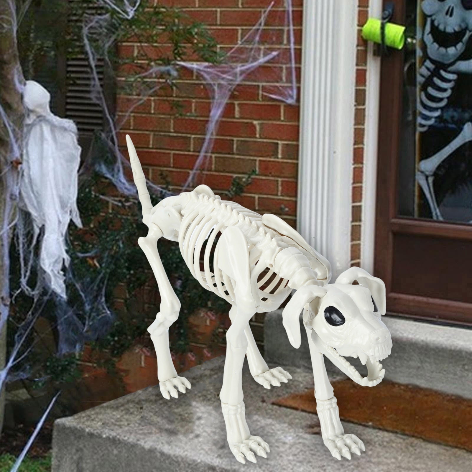 StarBay Flexible Tail Skeleton Dog Halloween Skeleton Dog Skeleton ...