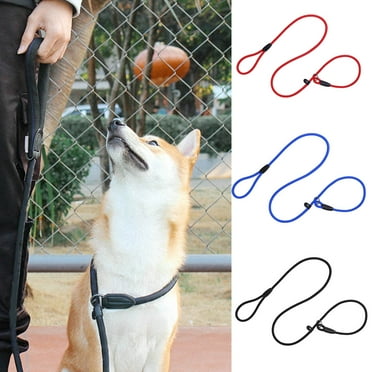Chew Proof Pet Chain Chew proof Dog Chain Anti-bite Dog Leash Puppy ...