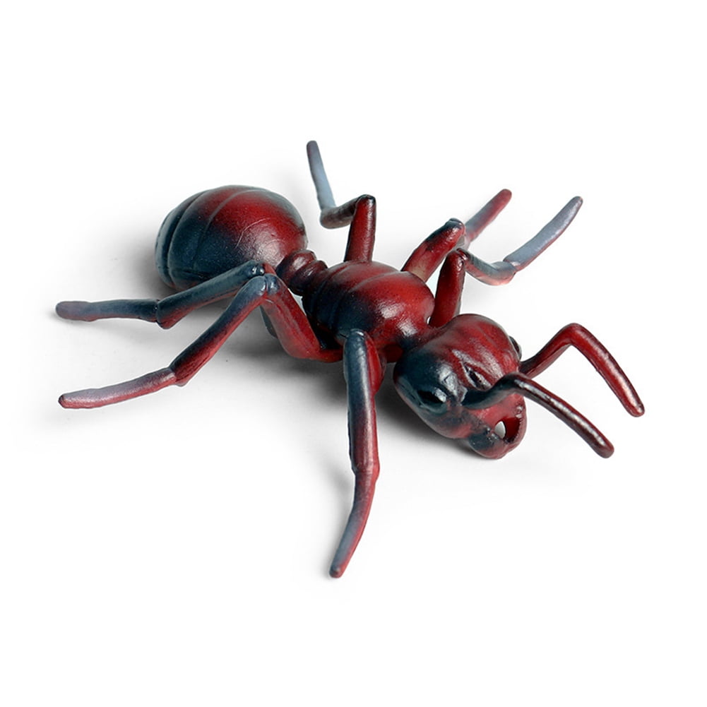 StarBay Realistic Ant Growth Cycle Figurine Set Kids Simulated ...