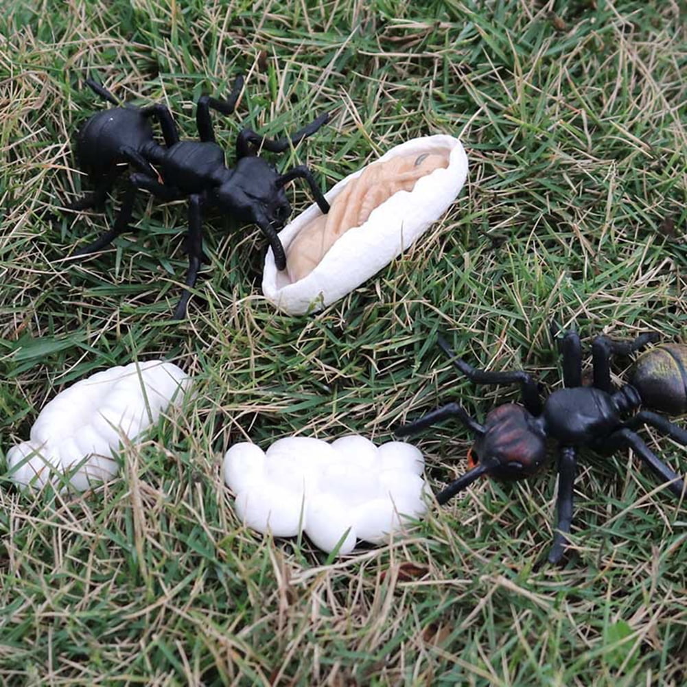 StarBay Realistic Ant Growth Cycle Figurine Set Kids Simulated ...