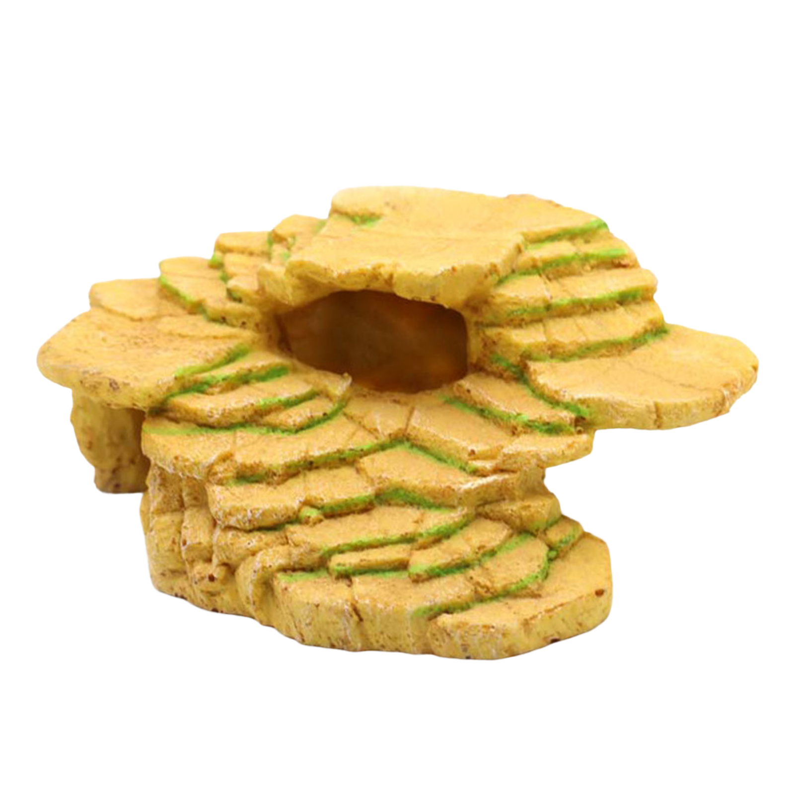 StarBay Turtle Terrace Fish Climbing Staircase, Wear-Resistant ...