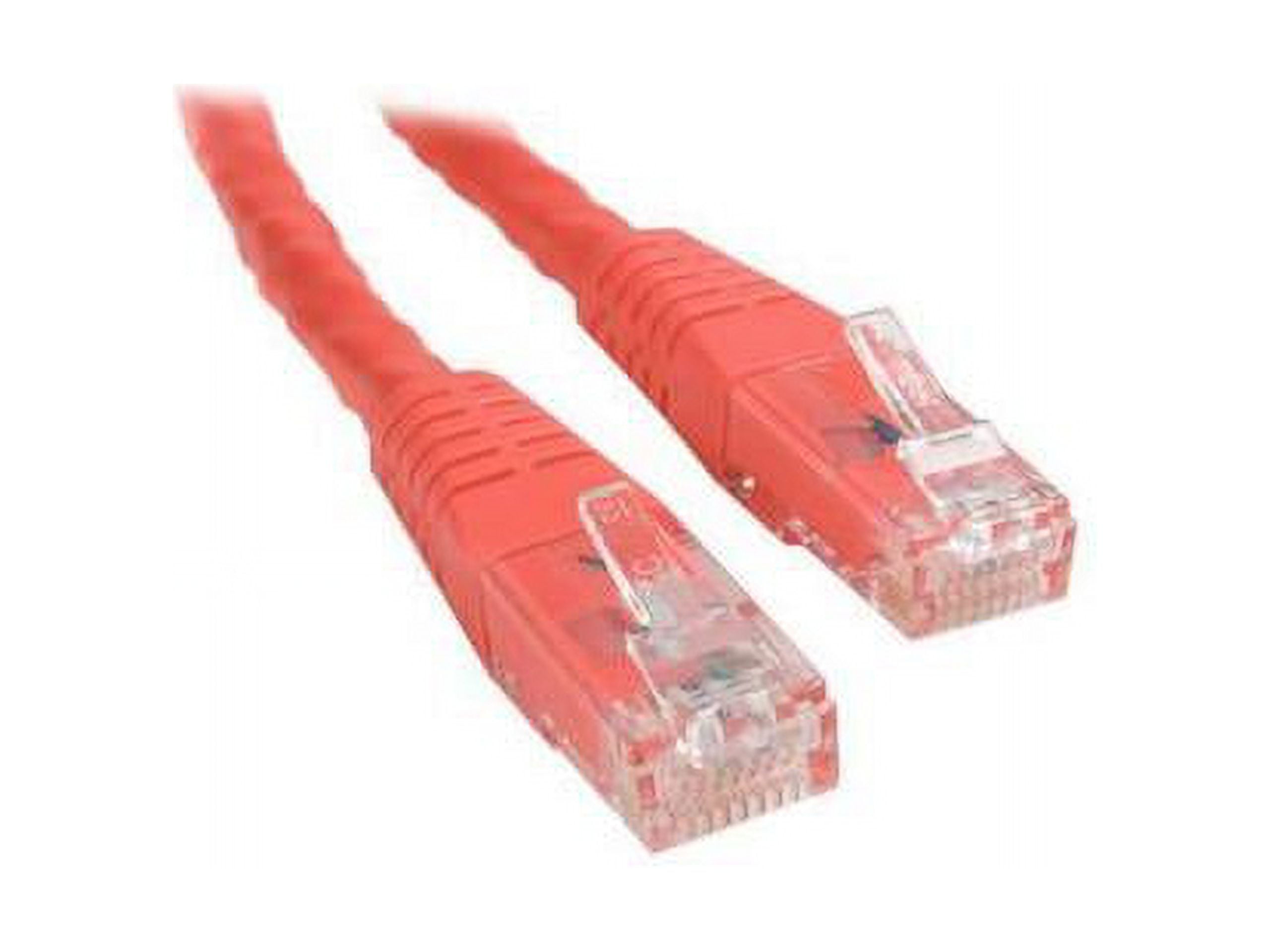 StarTech.com 2 ft Red Molded Cat6 UTP Patch Cable - ETL Verified ...