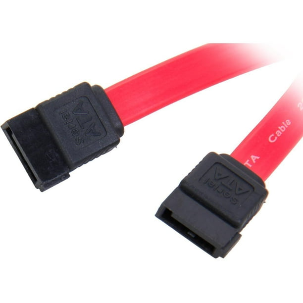 StarTech.com SATA6 6 in. SATA Serial ATA Cable - Walmart Business Supplies