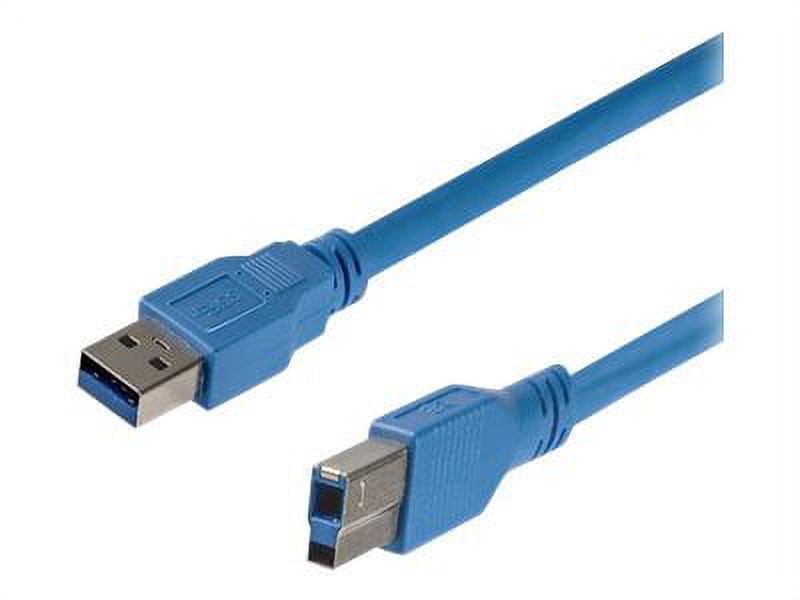 StarTech.com USB3SAB1 1 ft. Blue SuperSpeed USB 3.0 Cable A to B - M/M ...